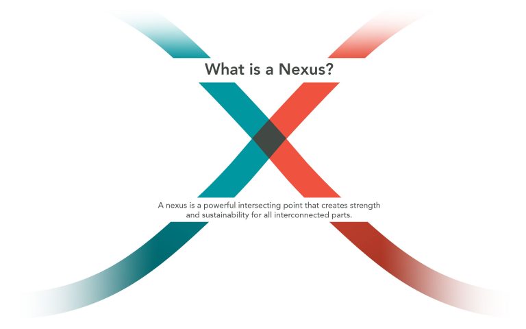The Nexus Project - Big Futures